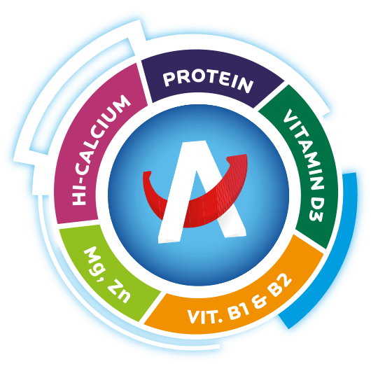 Produk Anchor Boneeto | Boneeto Indonesia